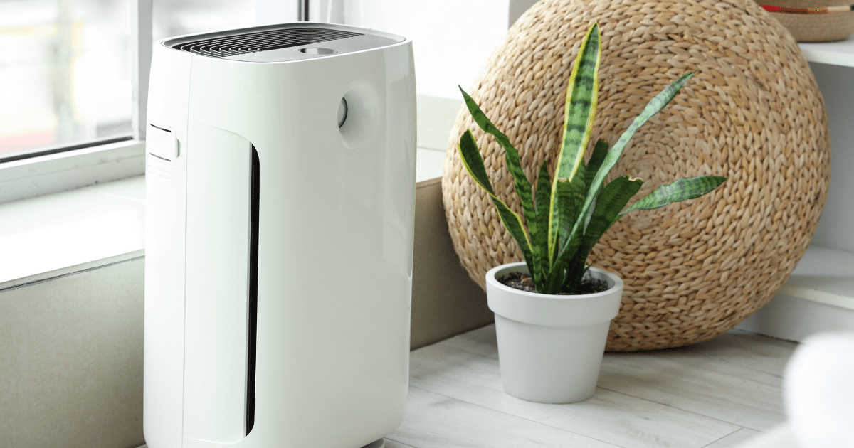 What’s Causing My Allergies To Flare Up Indoors & Can My HVAC System Help?